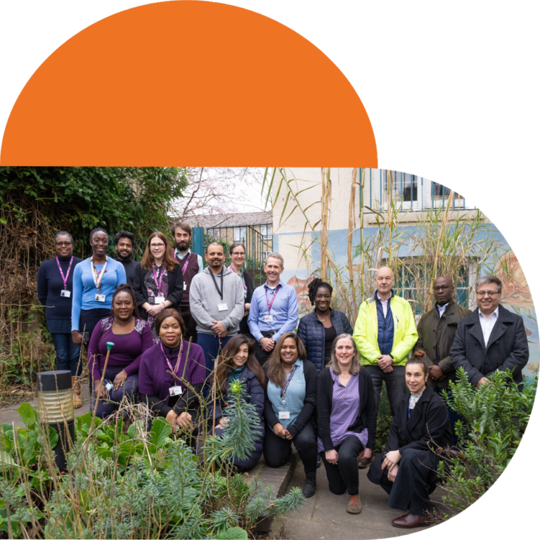 About the Living Well Network Alliance - Lambeth Together